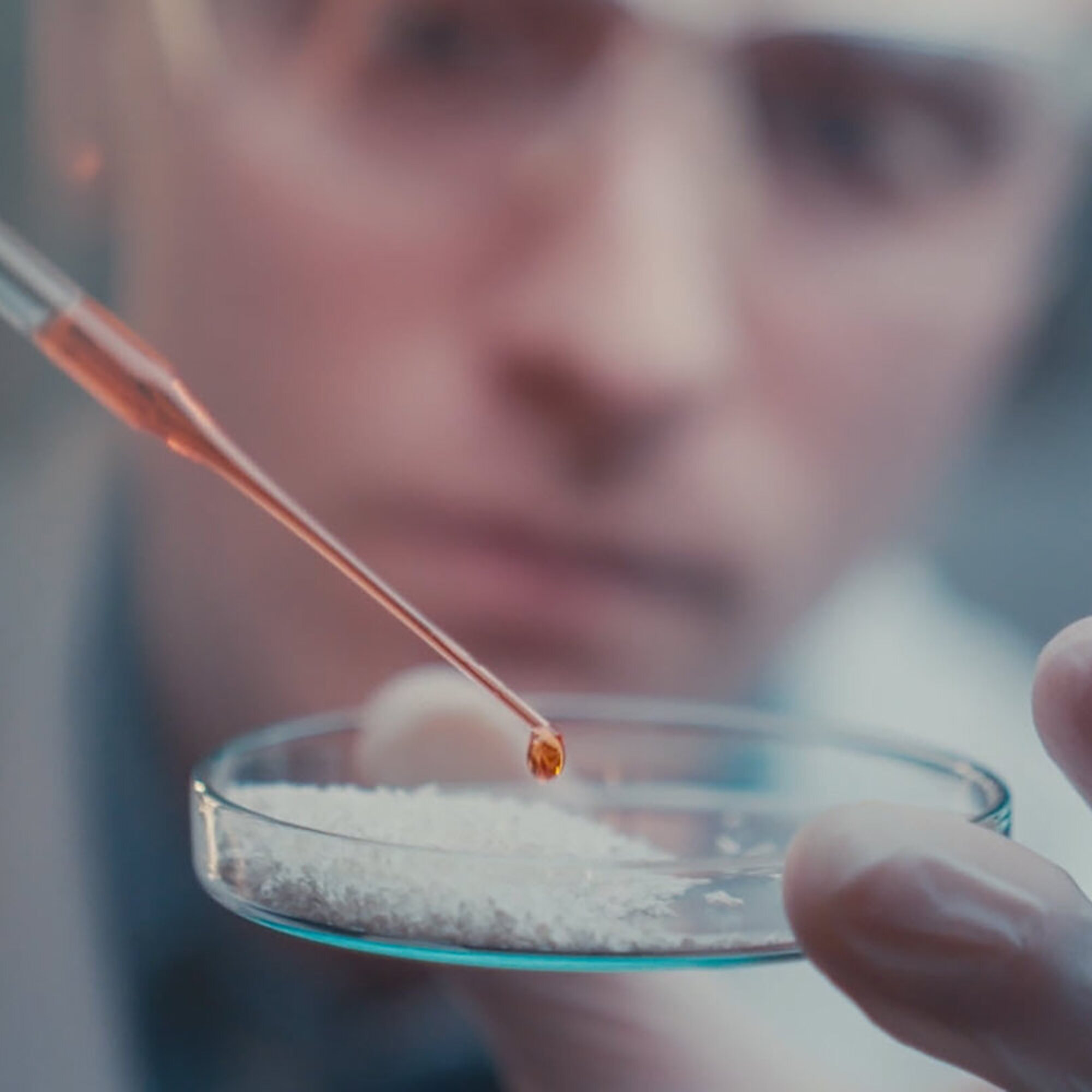 Regeneration Expert: Regeneration-Expert