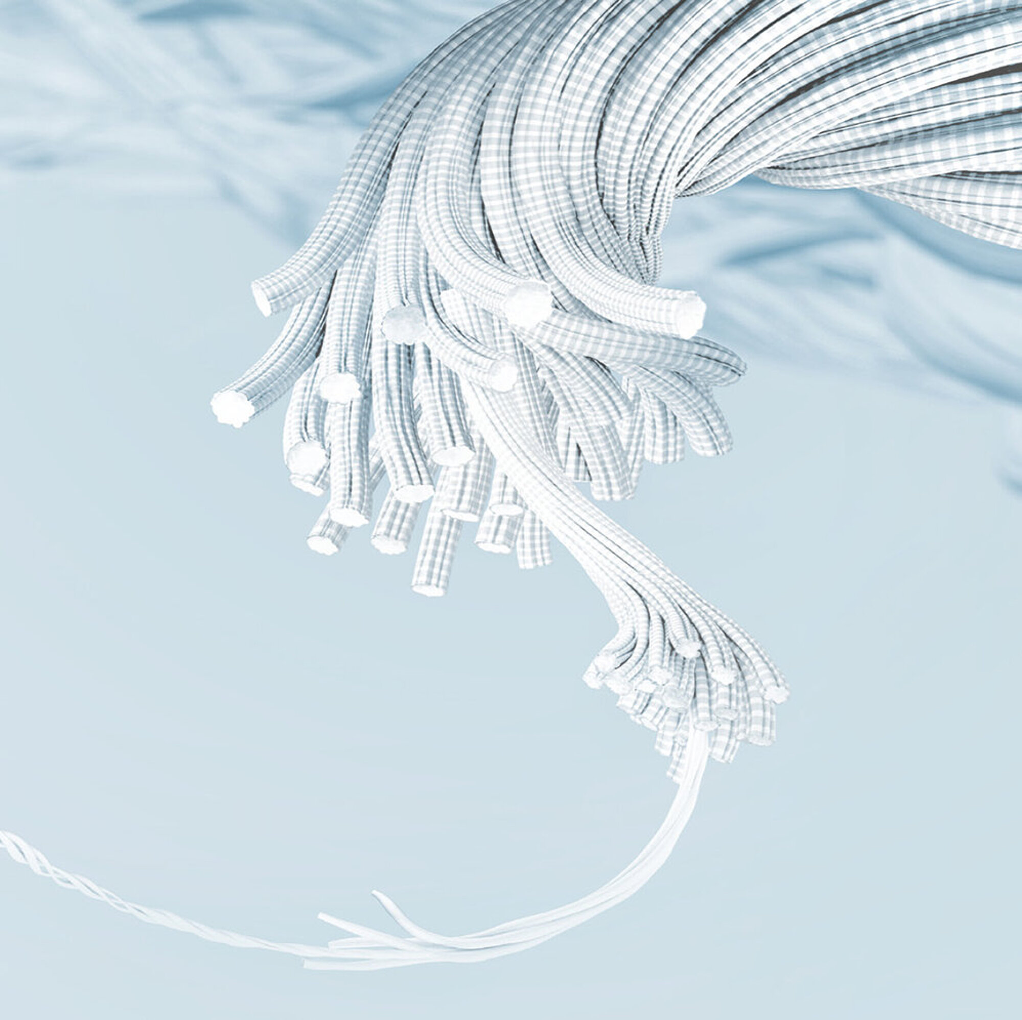 Regeneration Expert: Regeneration-Expert